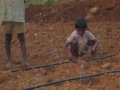 Thinking Design: Design for the BoP: Irrigating the "Perfect Solution ...