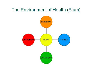 dr. Suparyanto, M.Kes: DIAGNOSIS SAKIT