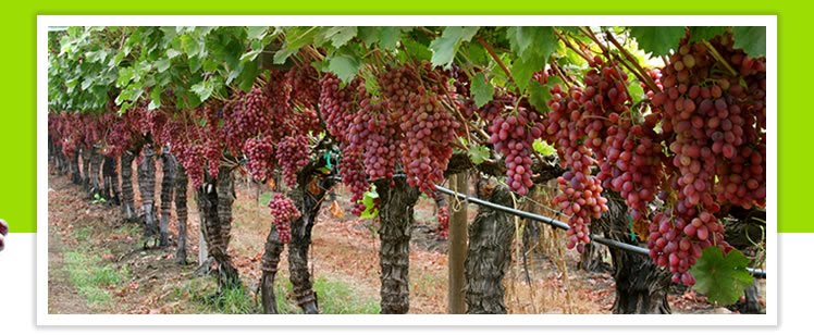 Bakersfield Observed: 2010-07-25