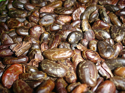 Cacau cru -propriedades