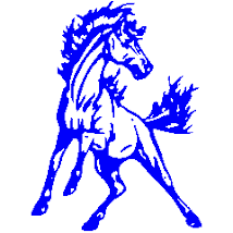 Chartiers Valley Lady Colts Basketball
