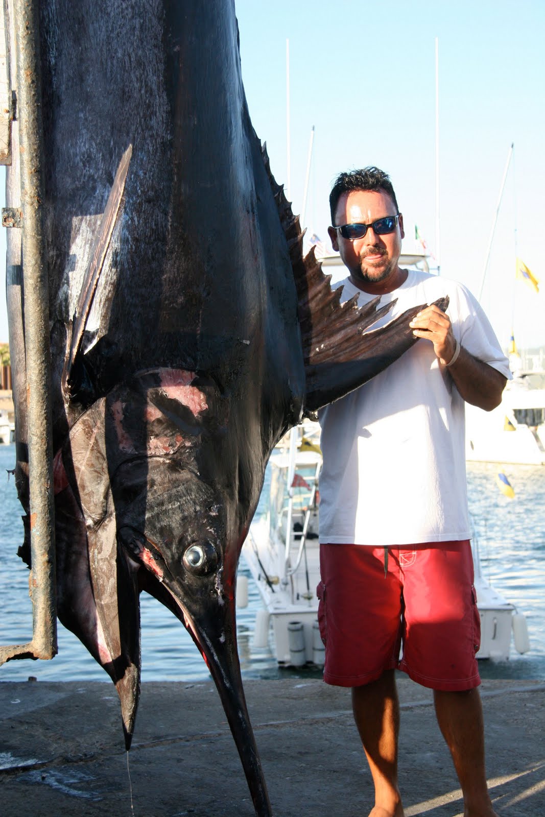 Pisces Fleet Sportfishing Blog: Giant Blue Marlin….Biggest in Years ...