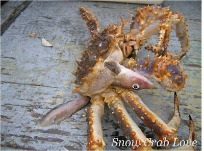 Snow Crab Love: A king crab tribute to Dr. Seuss