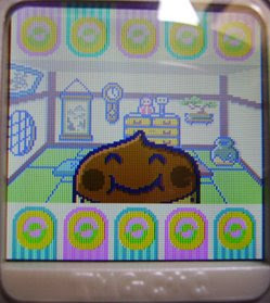 Familitchi: Tamagotchi + Color - Kuribotchi