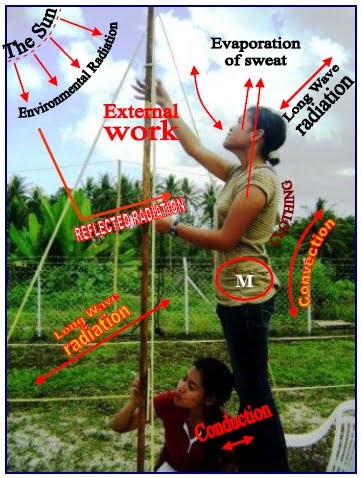Understanding of Biophysics - BIOFISIKA LINGKUNGAN