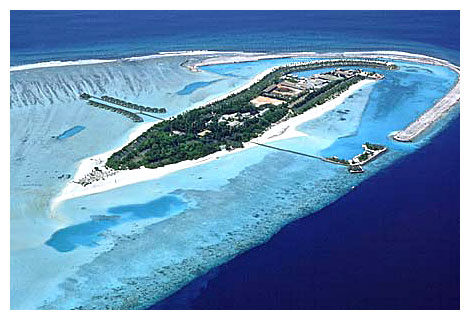 All About Beach: Flight To Paradise Island.