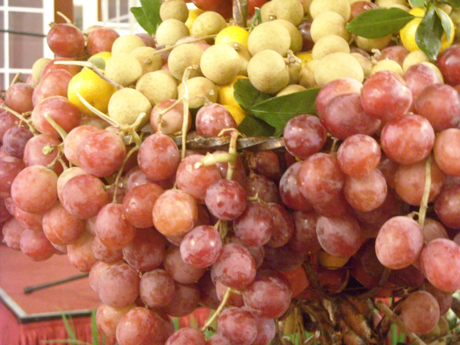 JannJann: Jakarta 2010 - Day 2 (part 3)