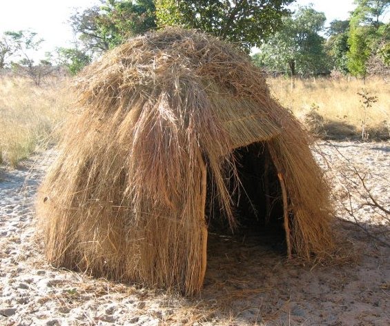 Back To Africa: Retro Digs