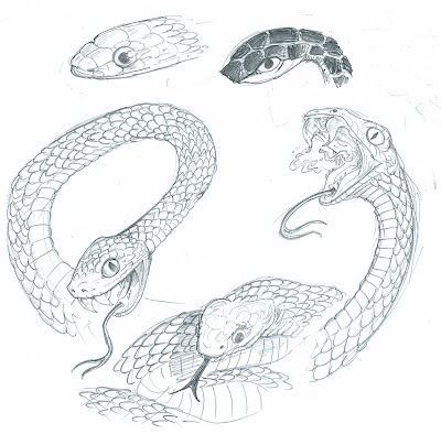 The Royal Daily Sketch: Tattoo Snake Study 1