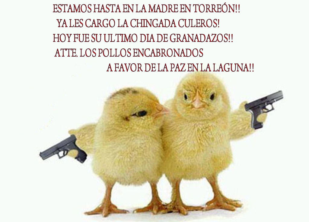 Pinchi Igualado: noviembre 2010