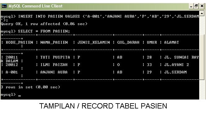 Database RUMAH SAKIT Menggunakan SQL: DATABASE RUMAH SAKIT MENGGUNAKAN MY SQL