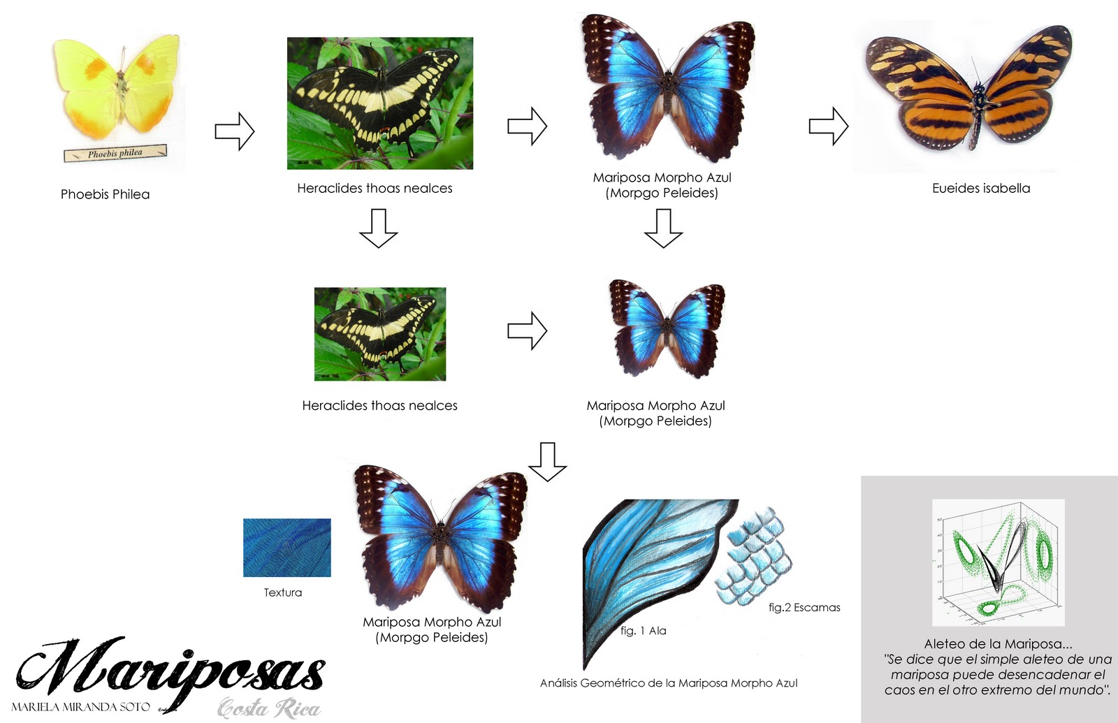 Proyecto Biónica Costa Rica & México