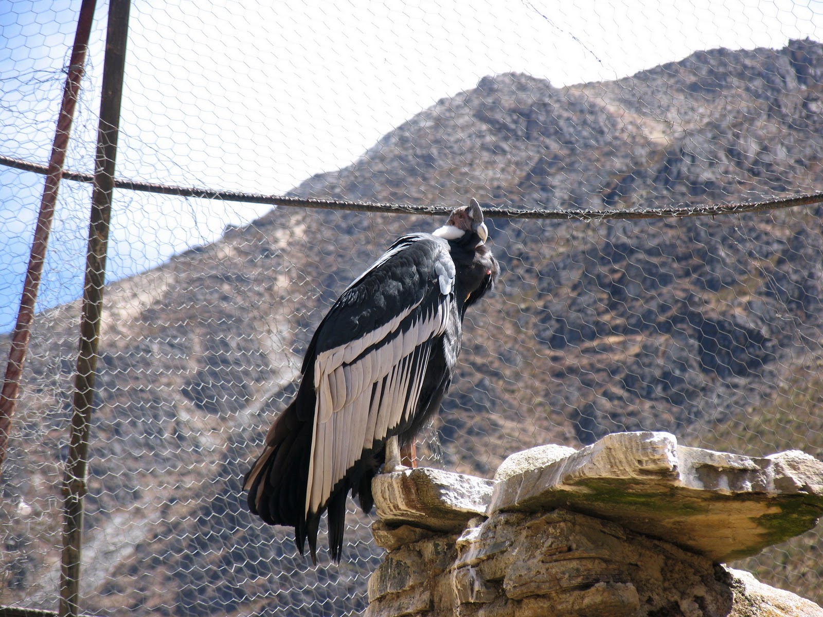 TURISMO ACTIVO: MÉRIDA A TU GUSTO...