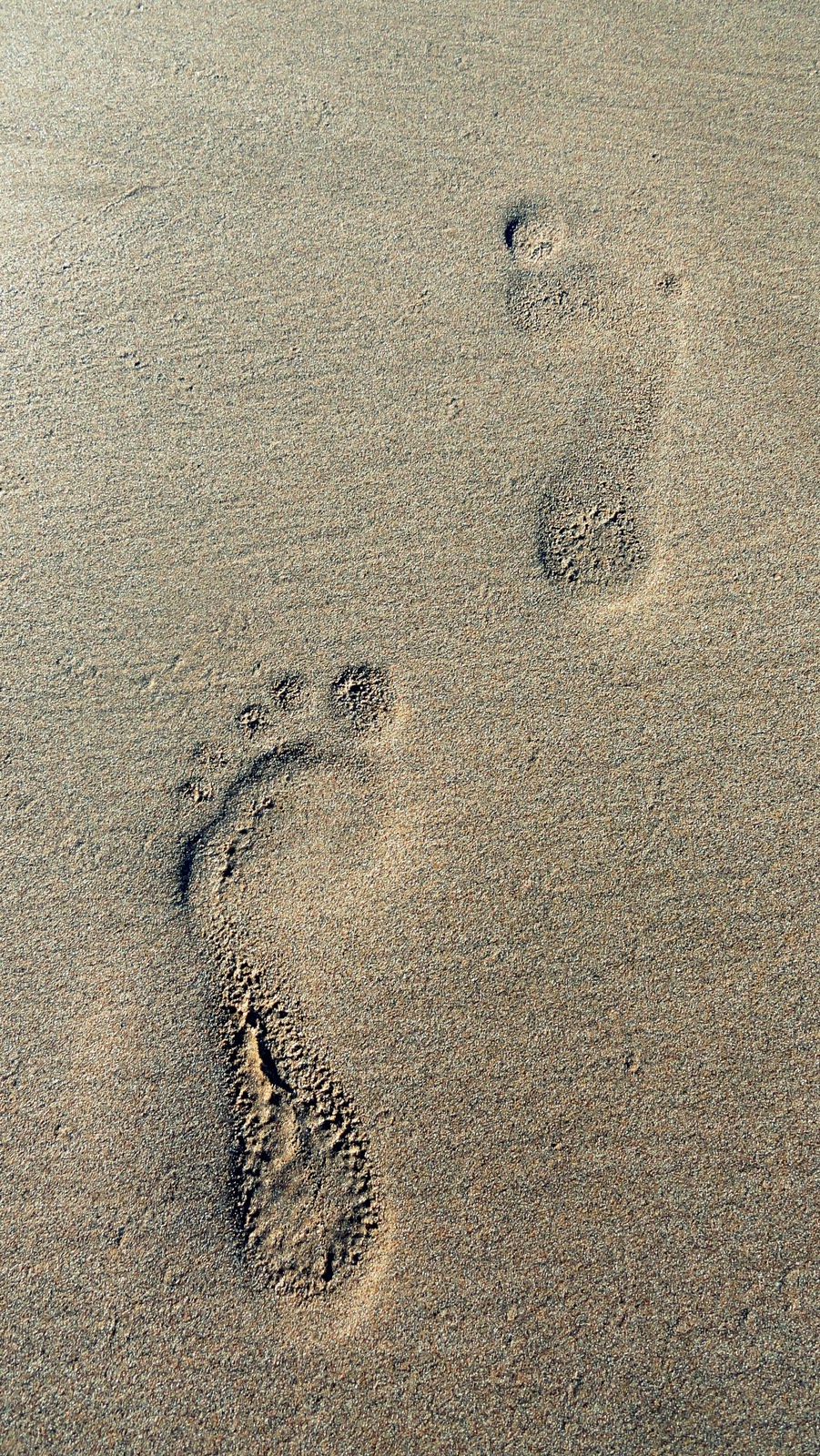 head in the clouds.: Leave nothing but footprints.