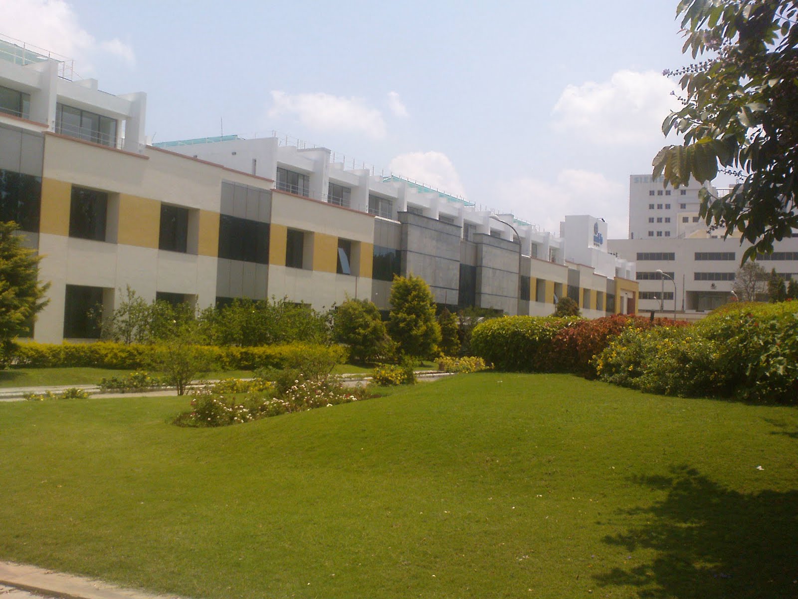 Tech Bite: IIIT-B Interview