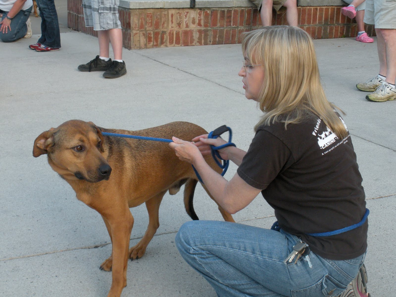 North Carolina Rescue