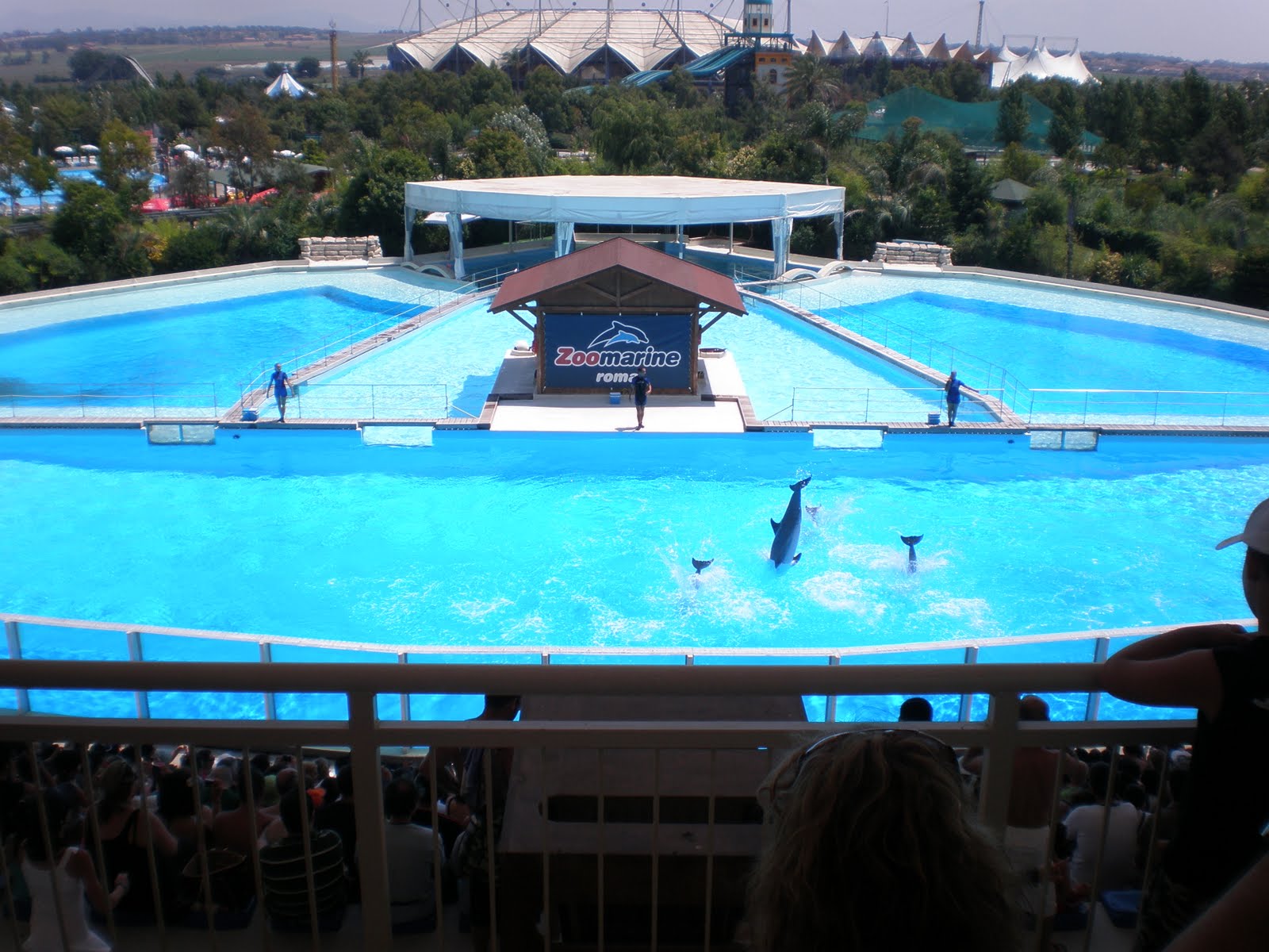 il cucchiaio magico: Zoo marine Roma