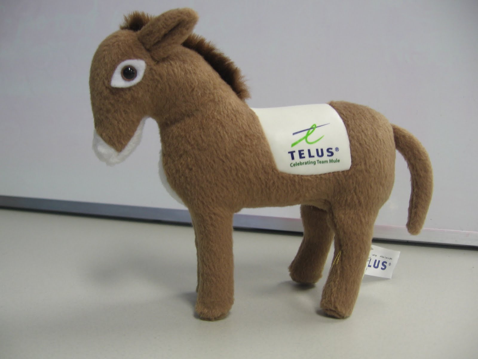 TELUS CRITTER BLOG: Spruce Meadows TELUS Critters