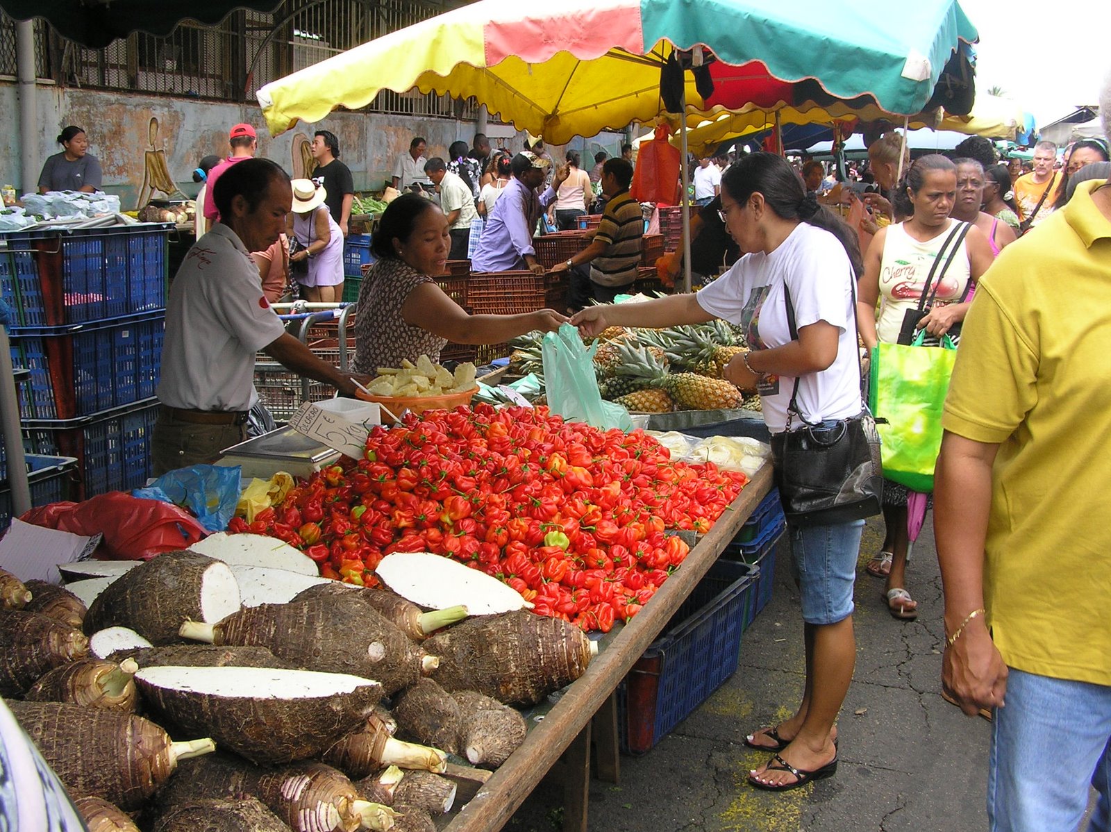 Carte Postale: GUYANE