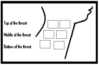 Letters of the Throat | Tasheel Tadrees