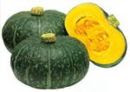 Kalabasa, Philippine Squash
