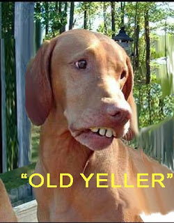 Semper Fidelis: How Joe Wilson Became "Old yeller"