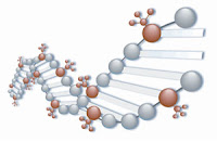 Epigenética en gemelos | Investigando entre trincheras