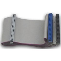 Labrador: Los Bus de Datos.