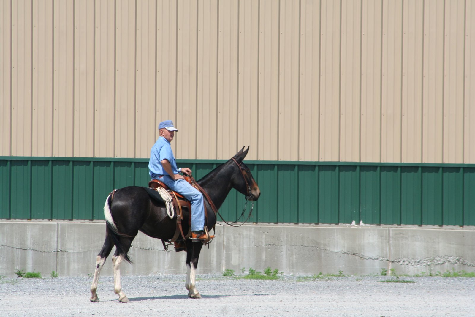 PairADice Mules: Trail Ride