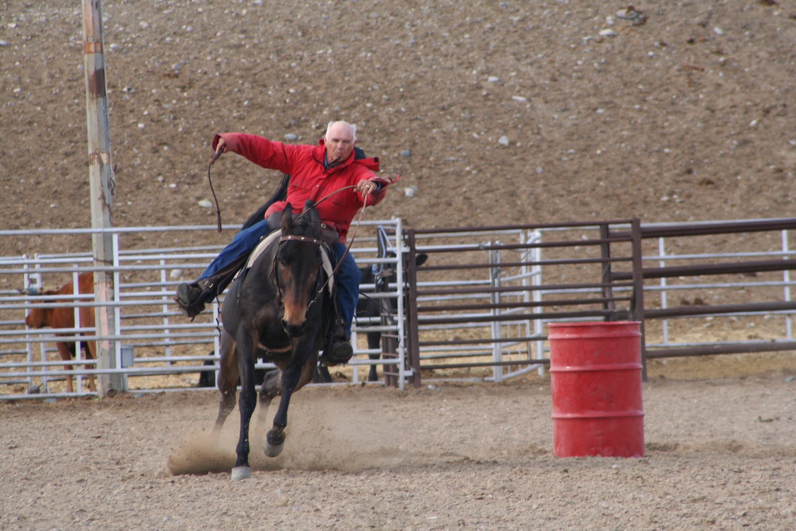 PairADice Mules: Jackpot Barrel Racing