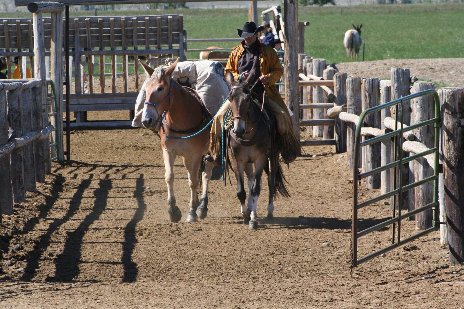 PairADice Mules: Jake Clark PreSale Trail Course