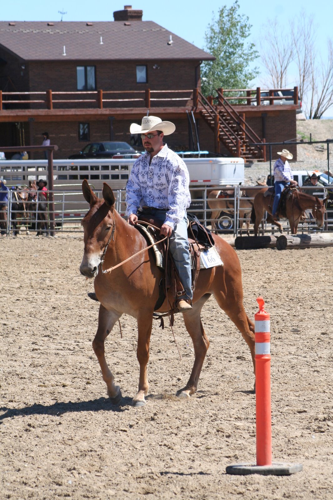 PairADice Mules: Still More from Jake Clark Mule Day Presale