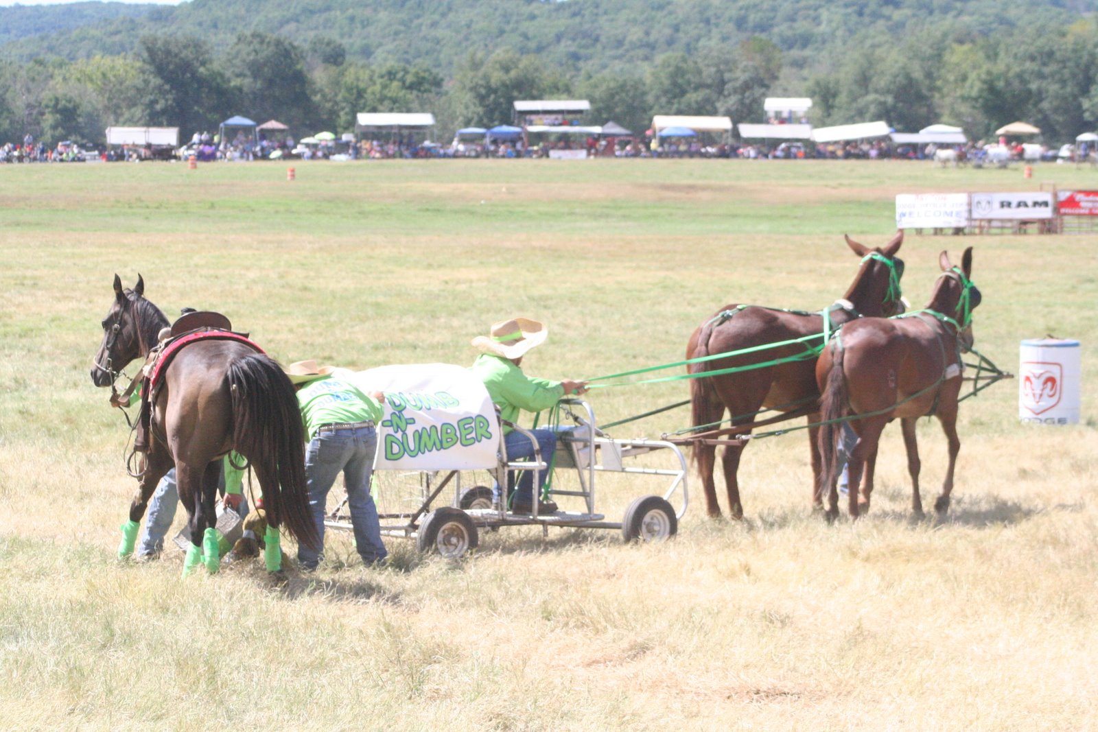 PairADice Mules: National Championship Chuckwagon Races