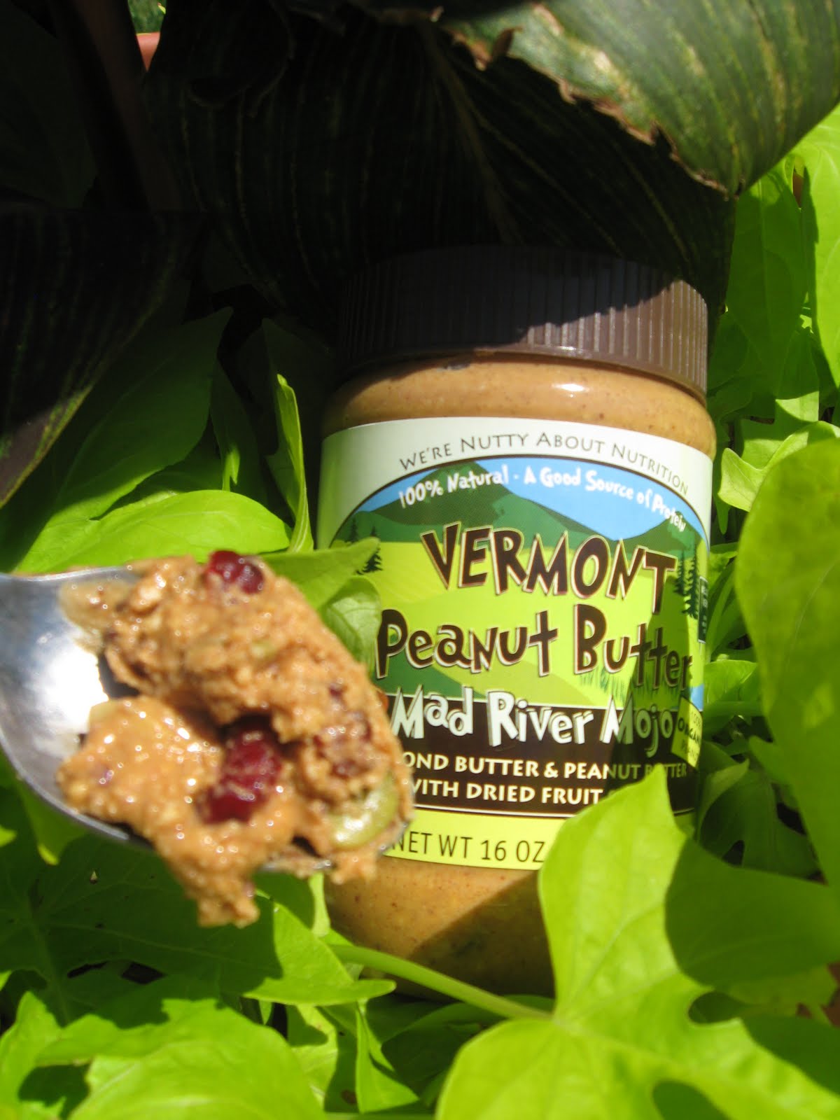 PB and Shell: Vermont Peanut Butter