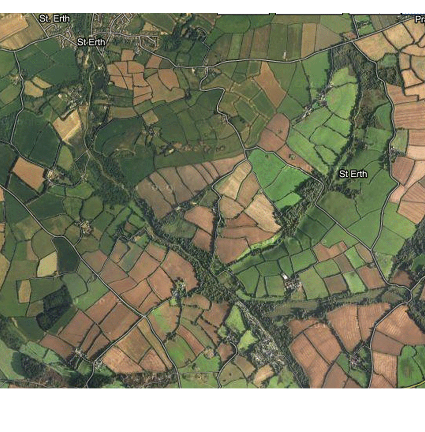 Hungry Hector: Walk from St Erth