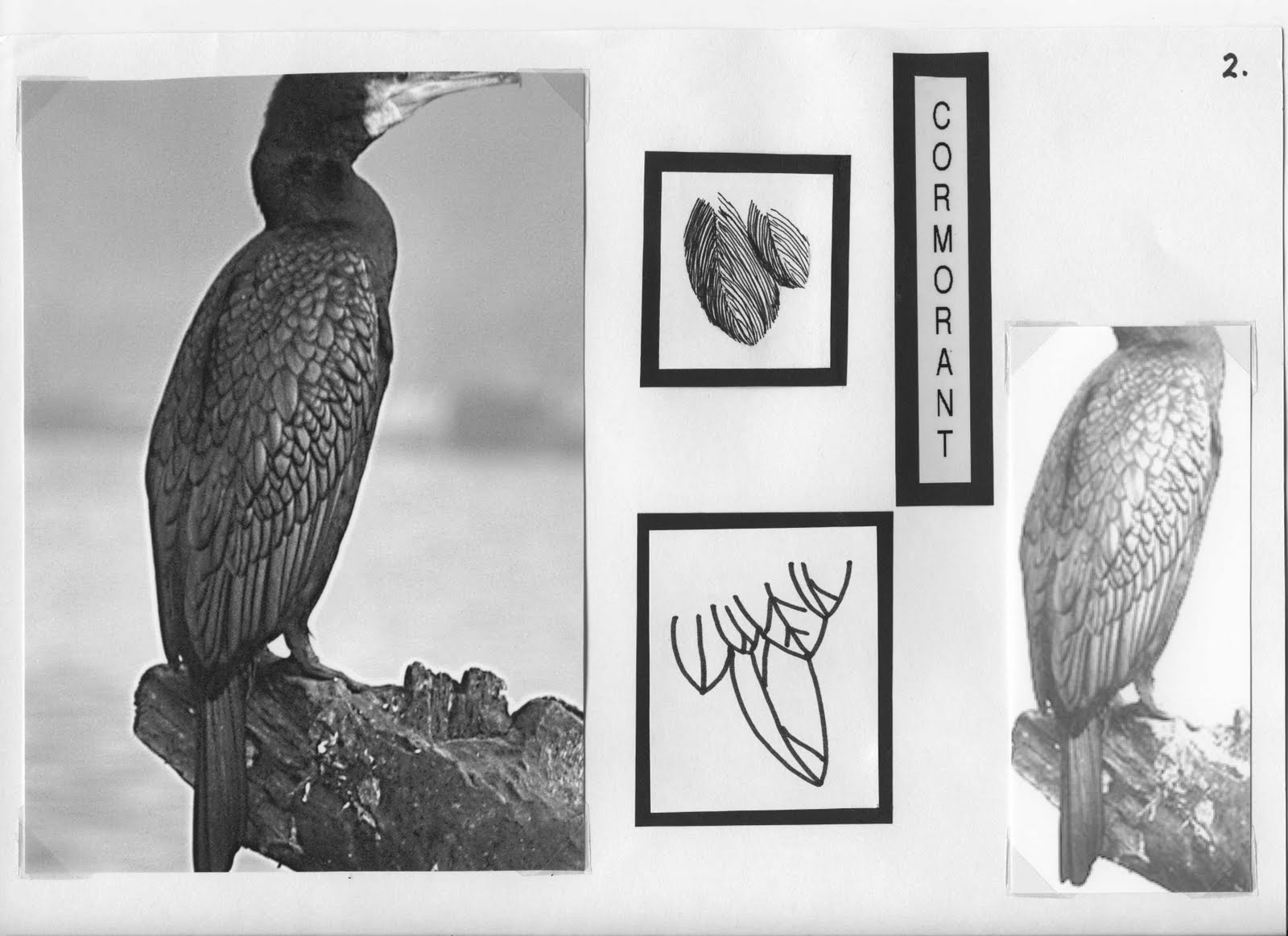 stitchestill: Drawing Patterns from Animal Markings Sheet 2