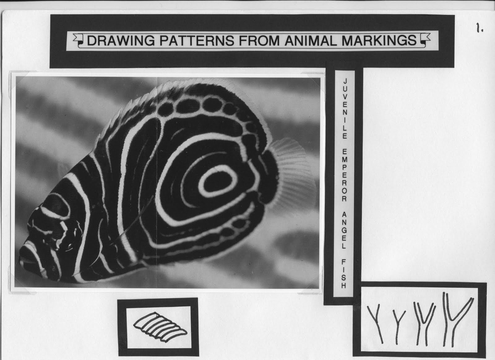 stitchestill: Drawing Patterns from Animal Markings Sheet 1