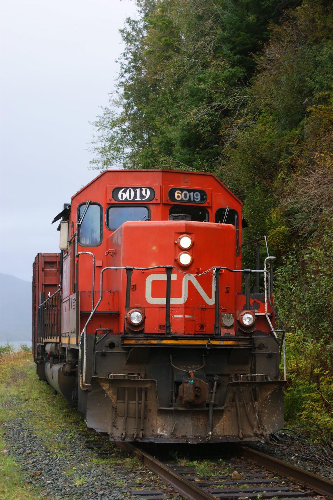 Prince Rupert Rail Images: CN 6019 / SD40u class GF-630b