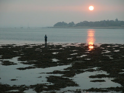How to Get Started Estuary Fishing for Beginners ~ Tacklebargains ...