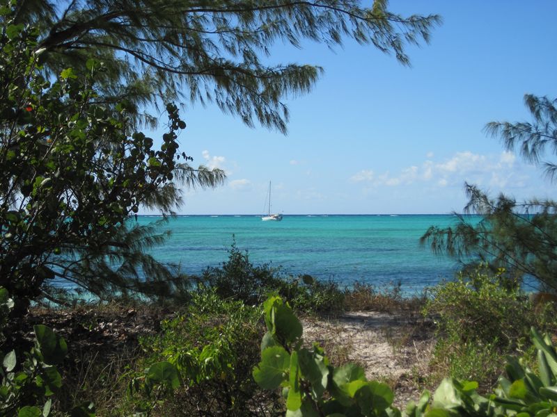 Océana 1: Rum Cay, Bahamas