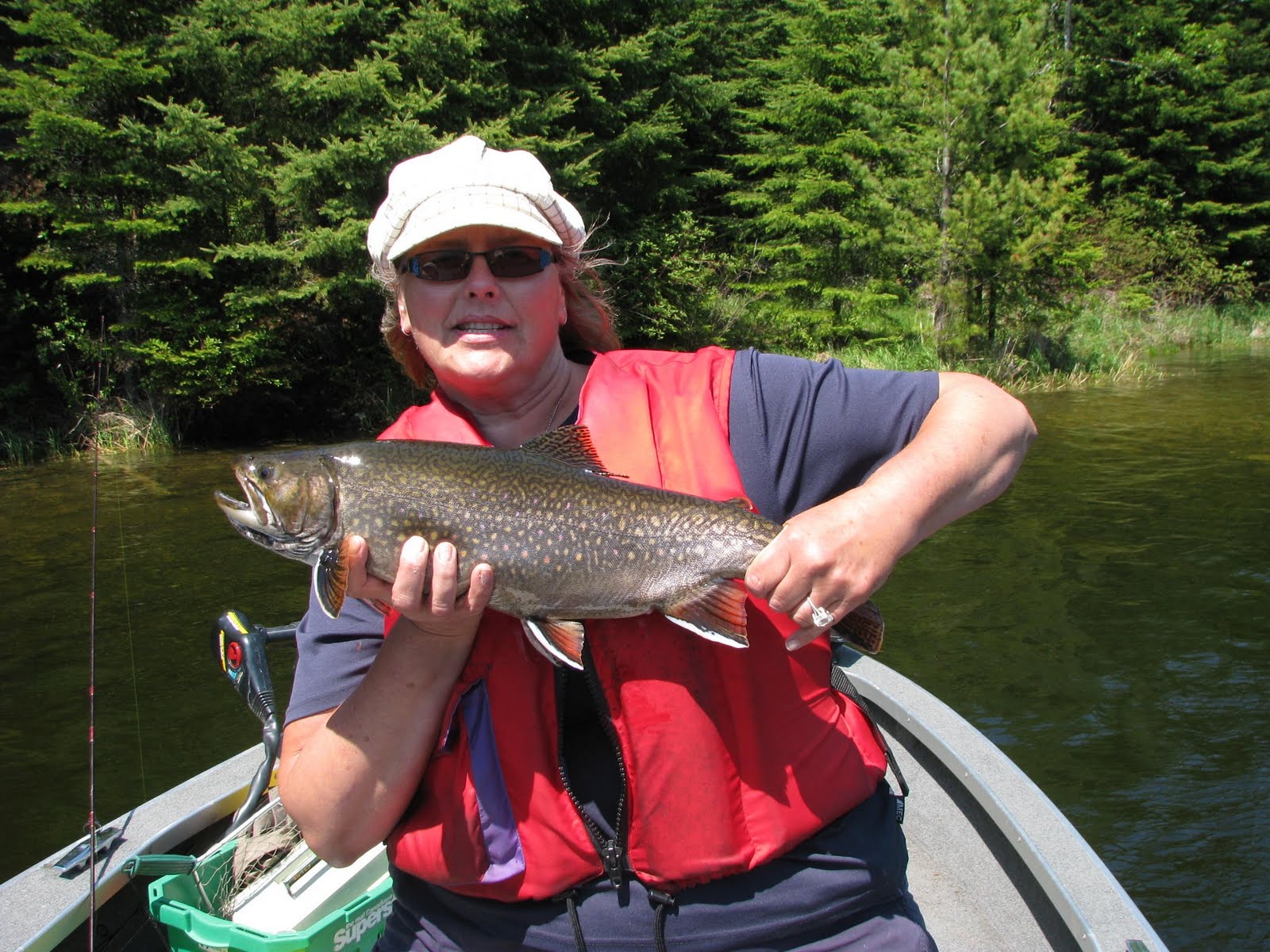 Trophy Brook Trout