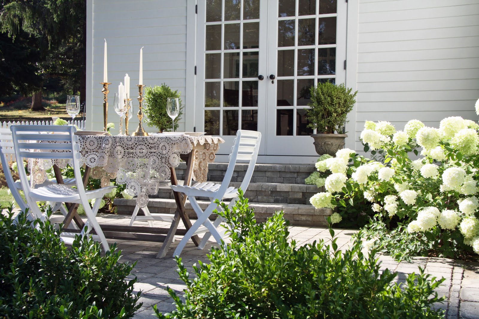 In the Fields : Blooming Limelight