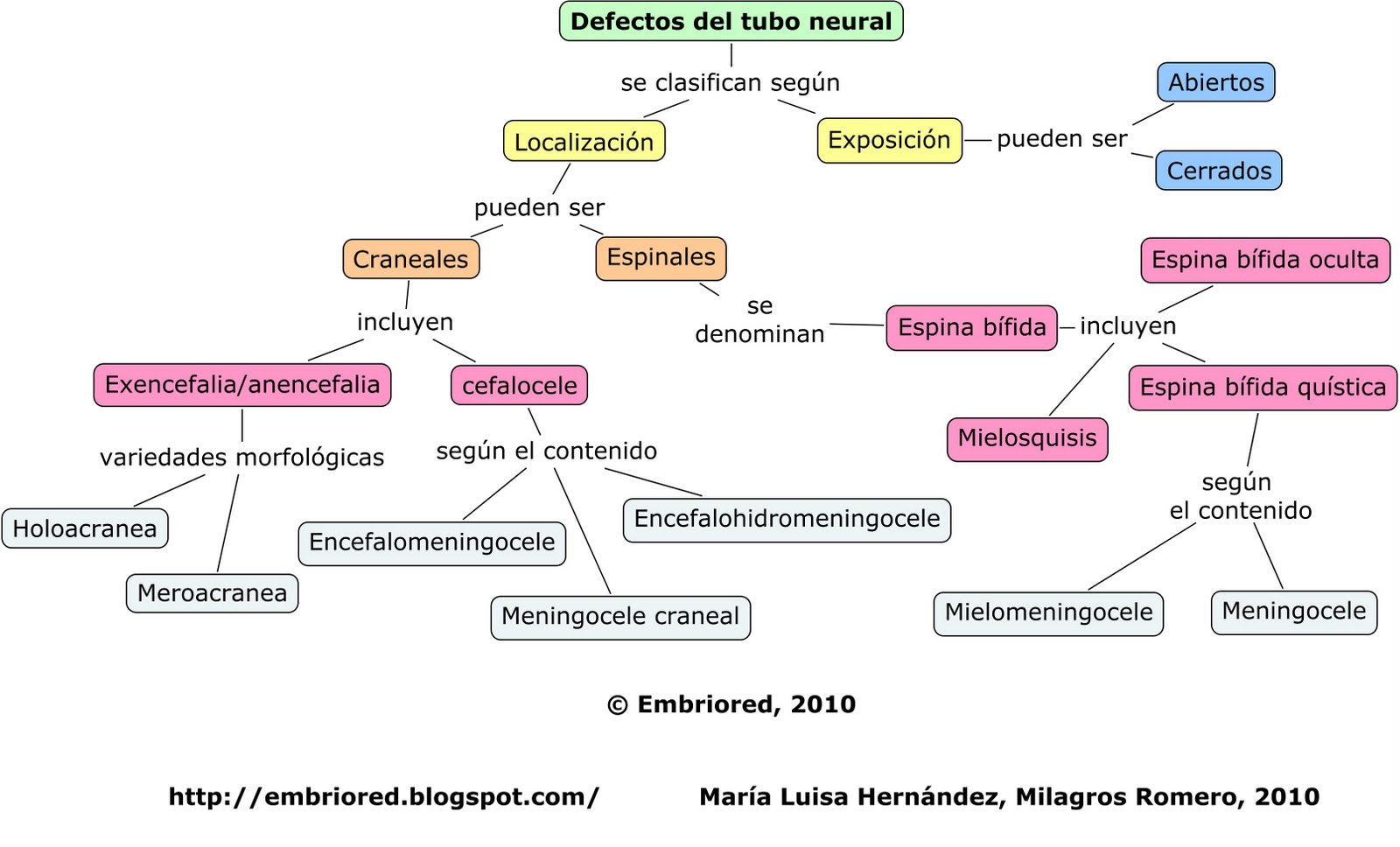 Embriored: Defectos del tubo neural