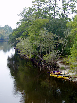 Edisto River Paddle