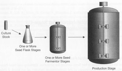 Fermentation technology: The Fermenter -Design and Engineering aspects