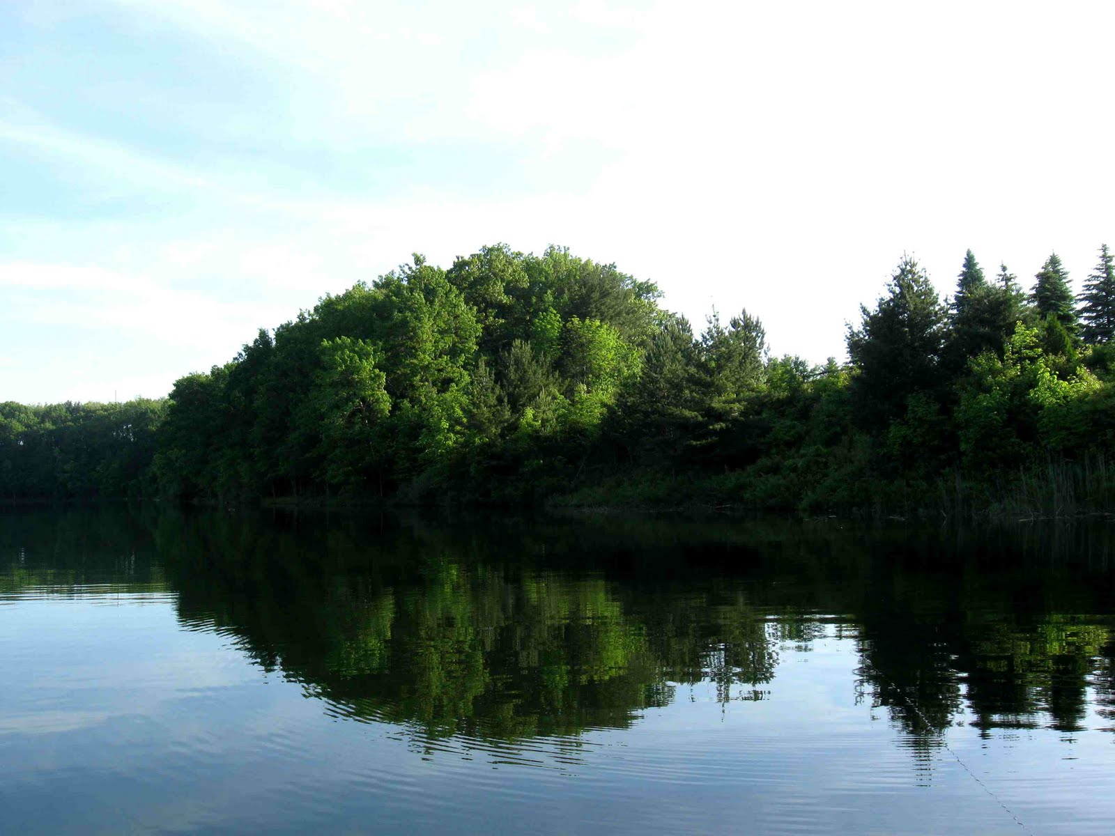 Deep Thoughts: Header Competition # 33 - Trees