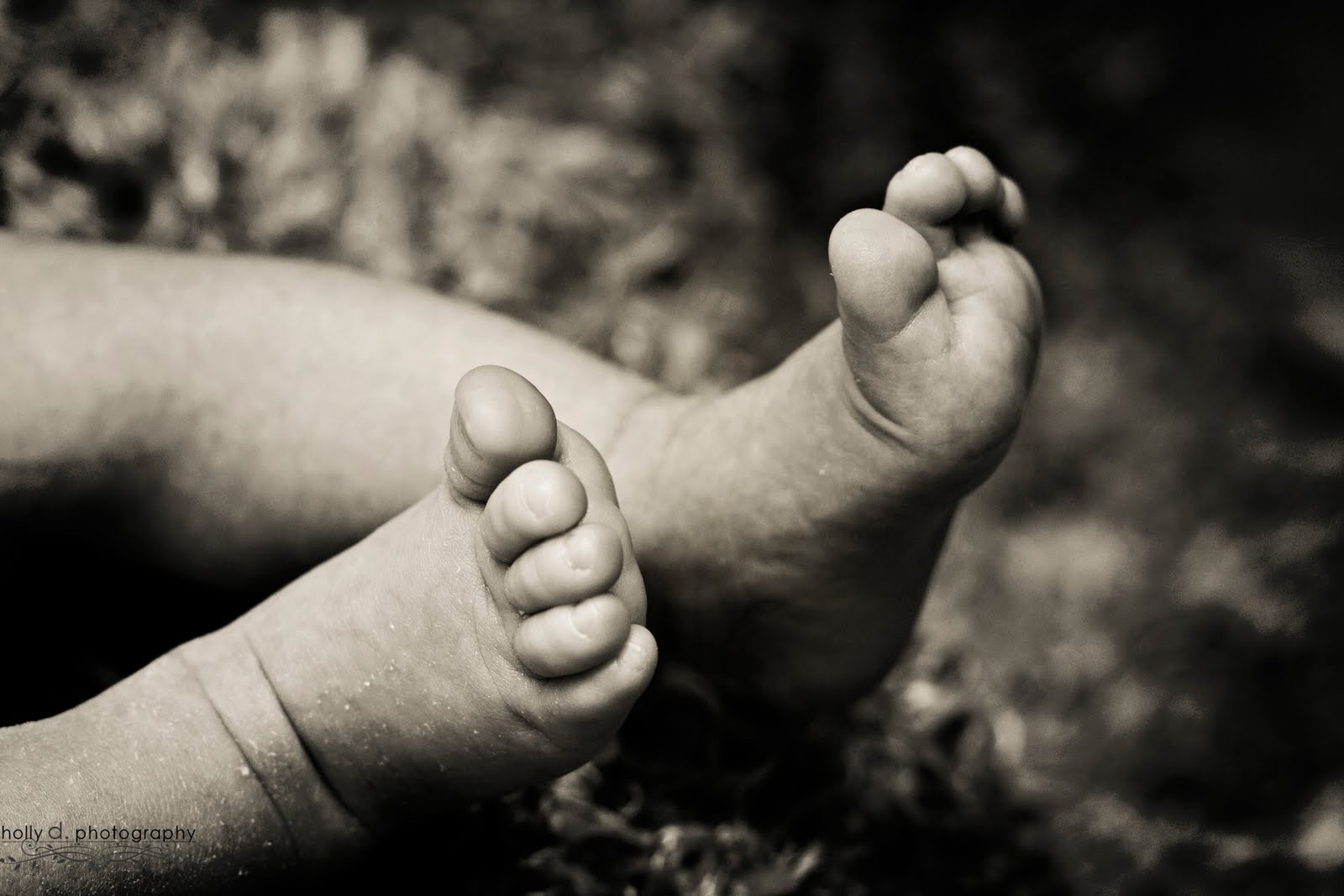 Holly D Photography & Designs: Bouncing Baby Boy