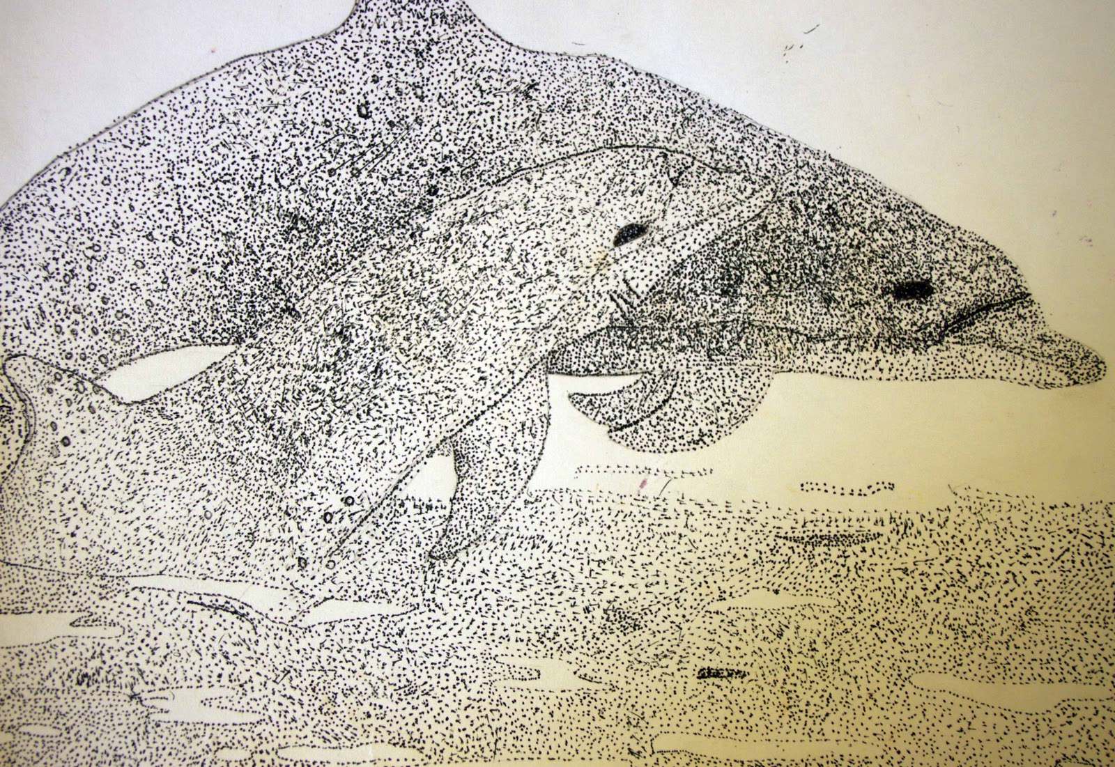 art @ the heart: Grade 9-10 Stipple Animals