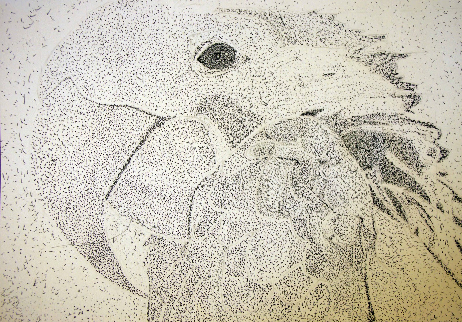 art @ the heart: Grade 9-10 Stipple Animals