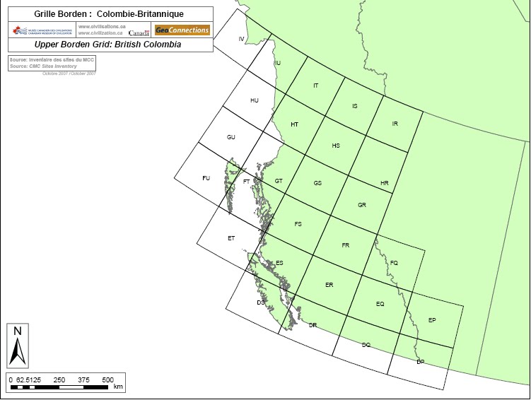 What the ?! ..... Chickens!: 2009